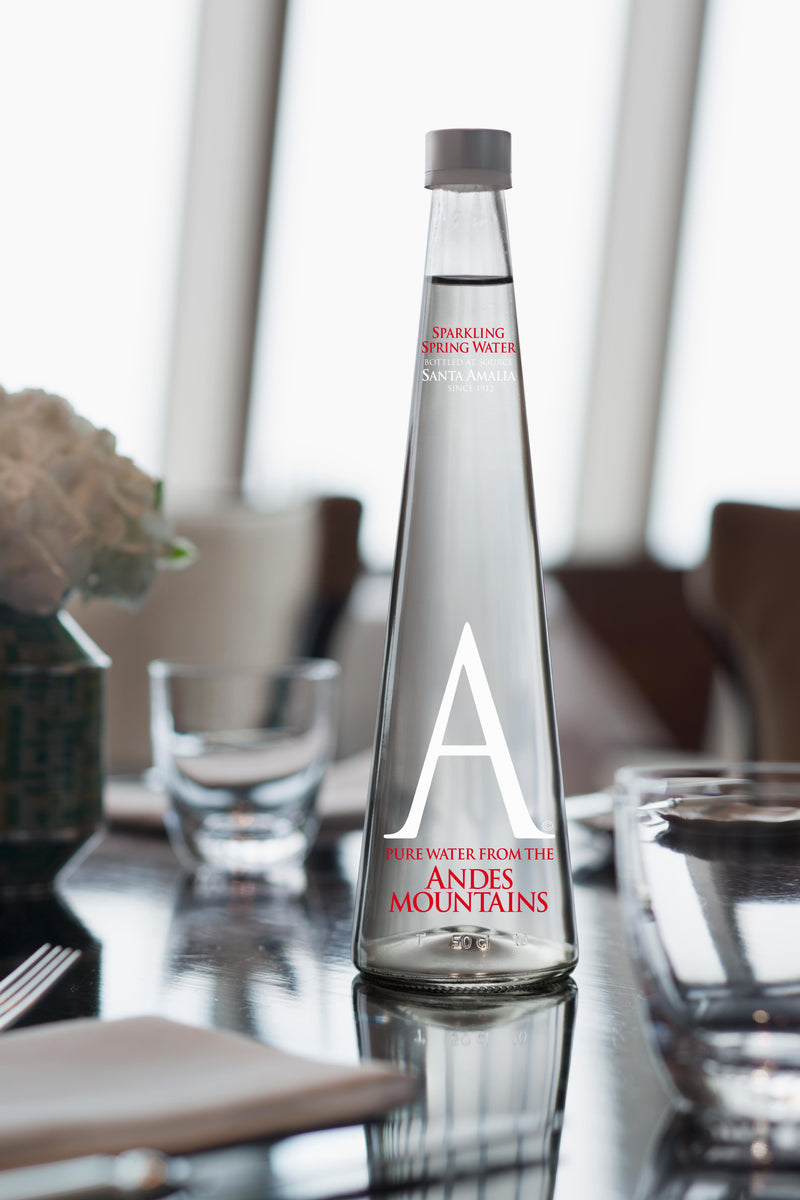 Andes Mountain Sparkling Water 25.4 oz / 750 ml – Andes Mountain Water